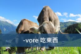 vt? vi? 動詞的分類 – Jerry Lee